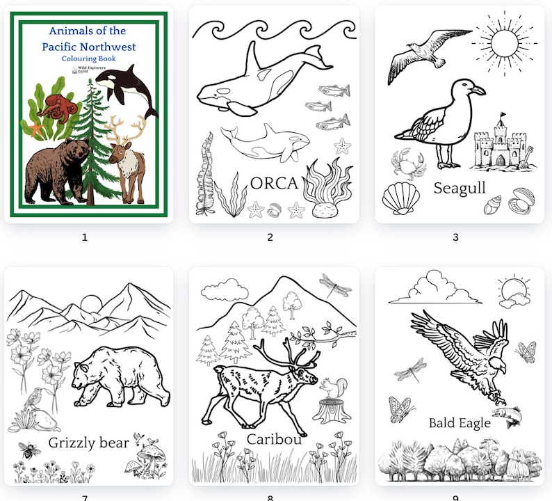 Pacific Northwest Animals Coloring Book - Digital Download - Fun and ...
