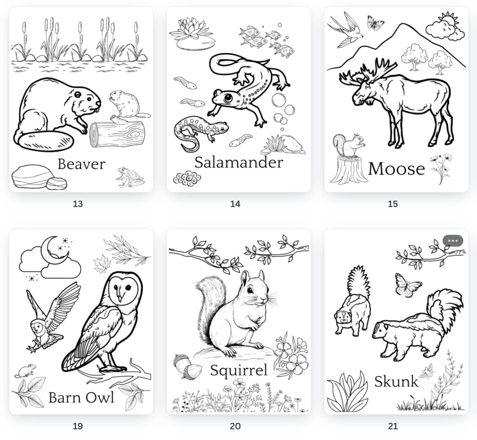 Pacific Northwest Animals Coloring Book - Digital Download - Fun and ...
