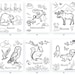 Pacific Northwest Animals Coloring Book - Digital Download - Fun and ...