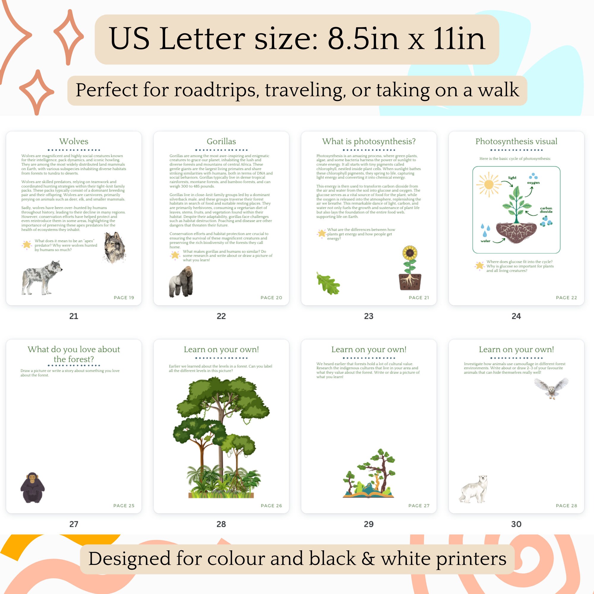 Forest Biology Activity Book Printable Preschool Elementary Curriculum ...