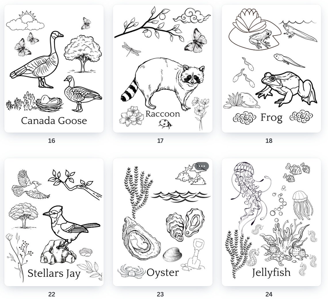 Pacific Northwest Animals Coloring Book - Digital Download - Fun and ...