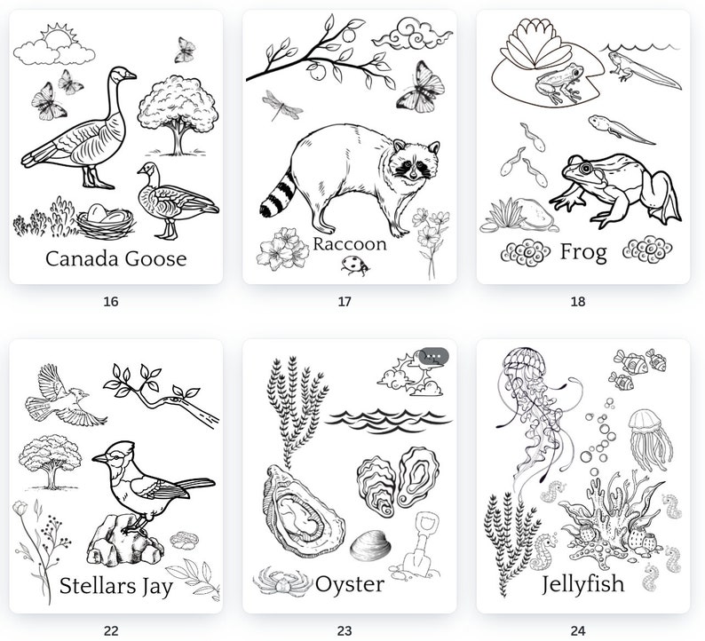 Pacific Northwest Animals Coloring Book - Digital Download - Fun and ...