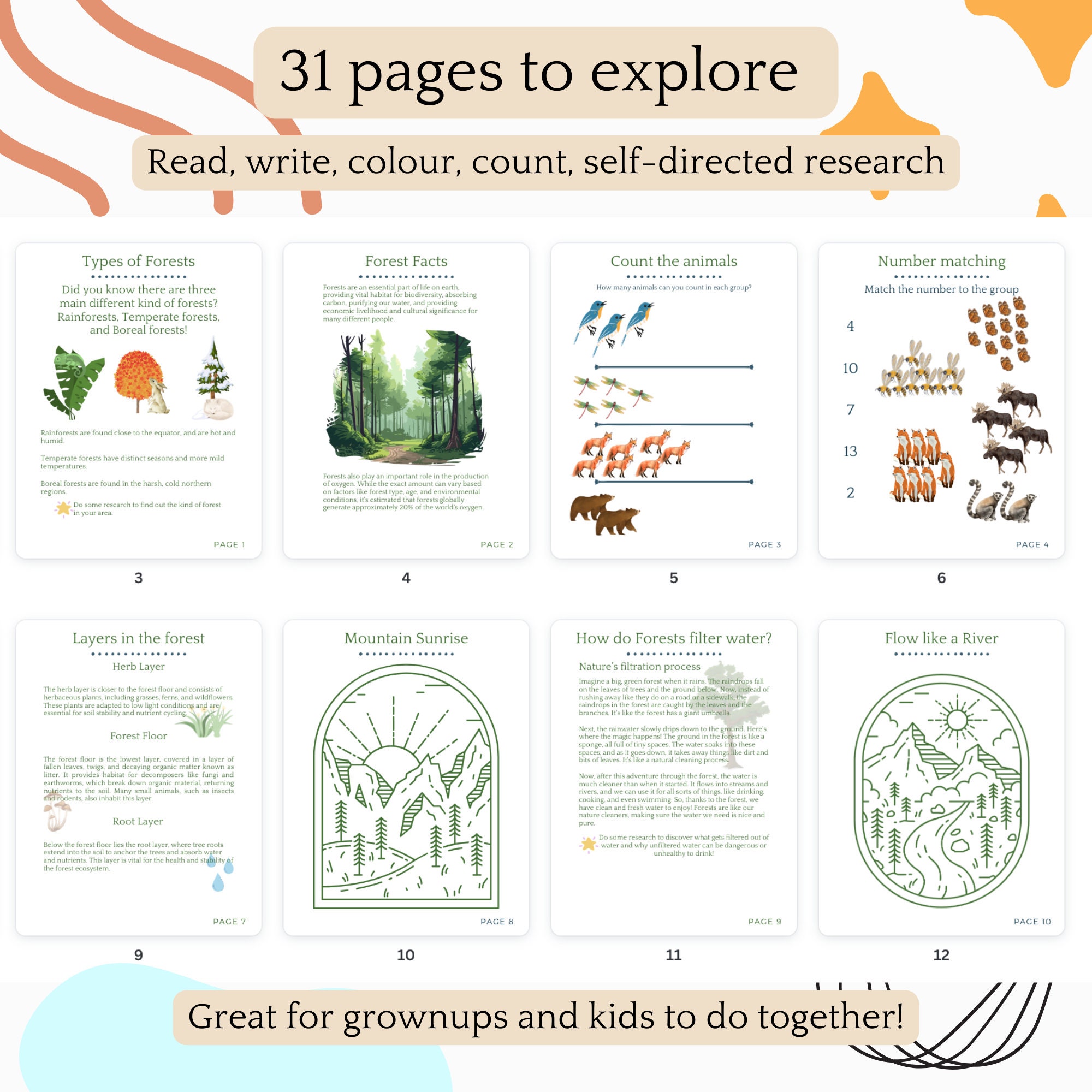 Forest Biology Activity Book Printable Preschool Elementary Curriculum ...