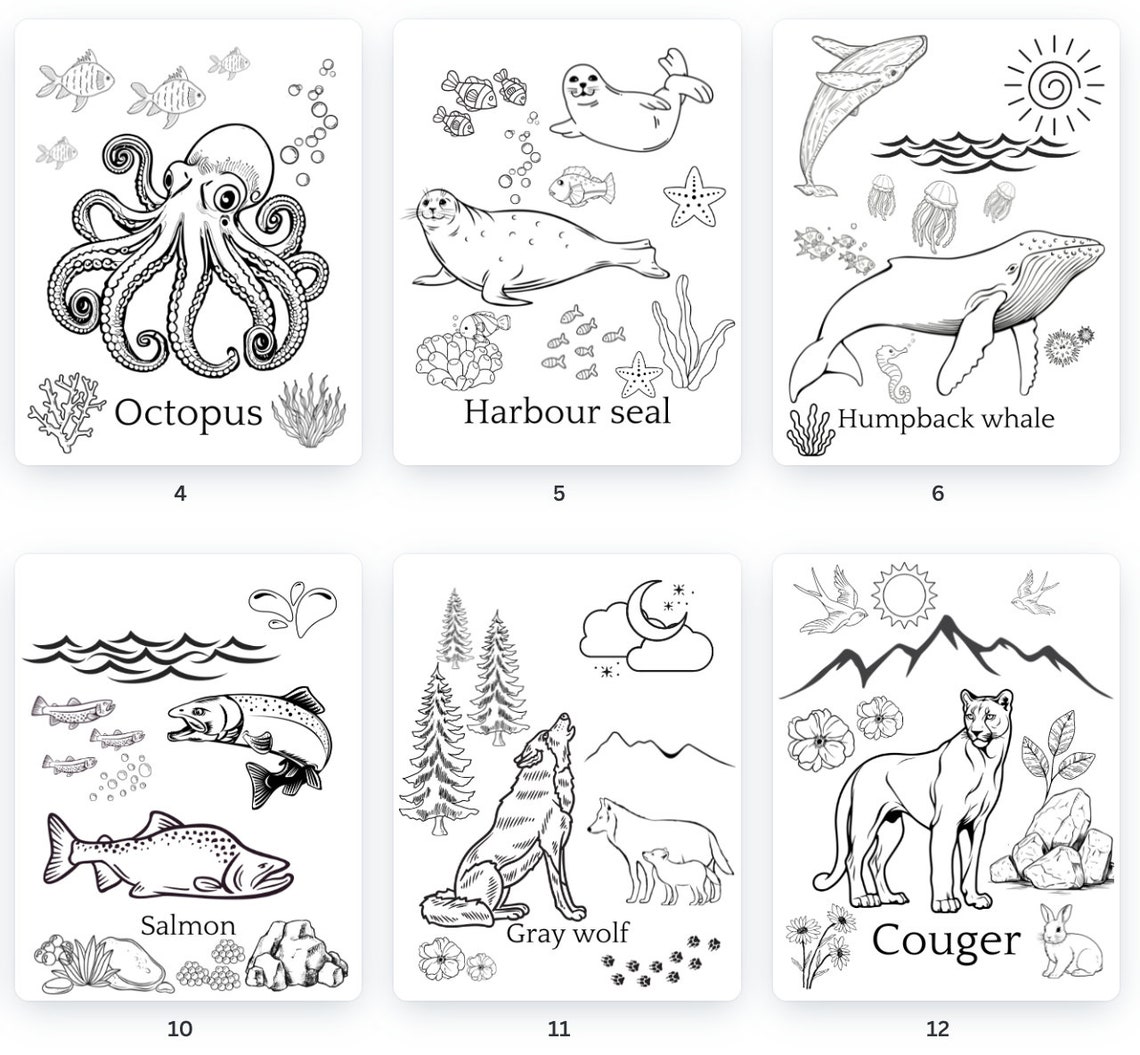 Pacific Northwest Animals Coloring Book Digital Download Fun and ...