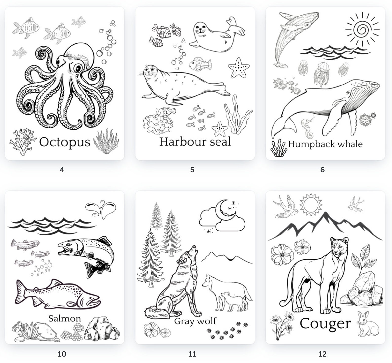 Pacific Northwest Animals Coloring Book - Digital Download - Fun and ...