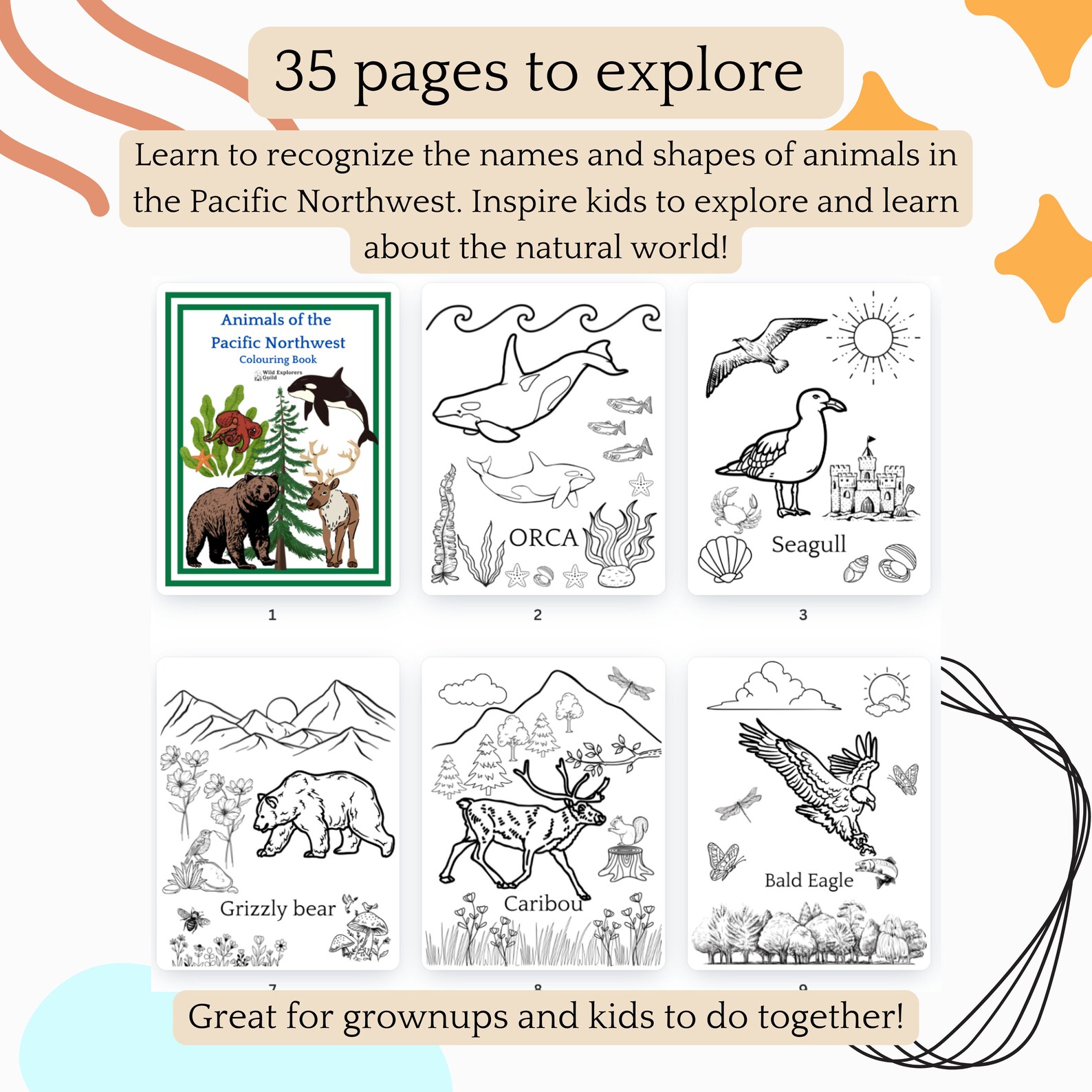 Pacific Northwest Animals Coloring Book - Digital Download - Fun and ...