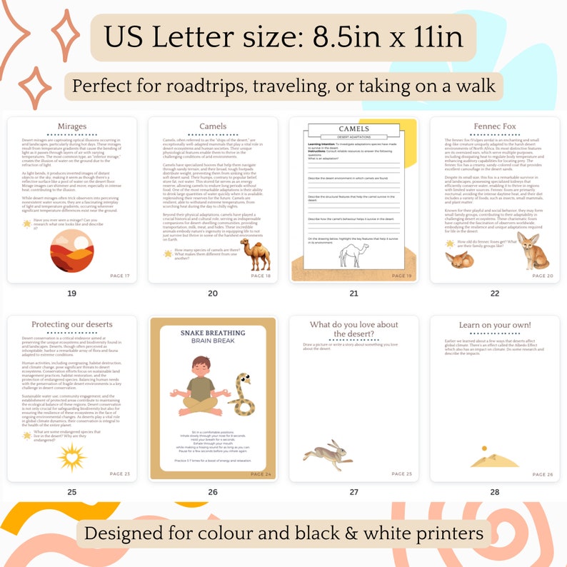Desert Activity Book Printable Preschool Elementary Education - Etsy