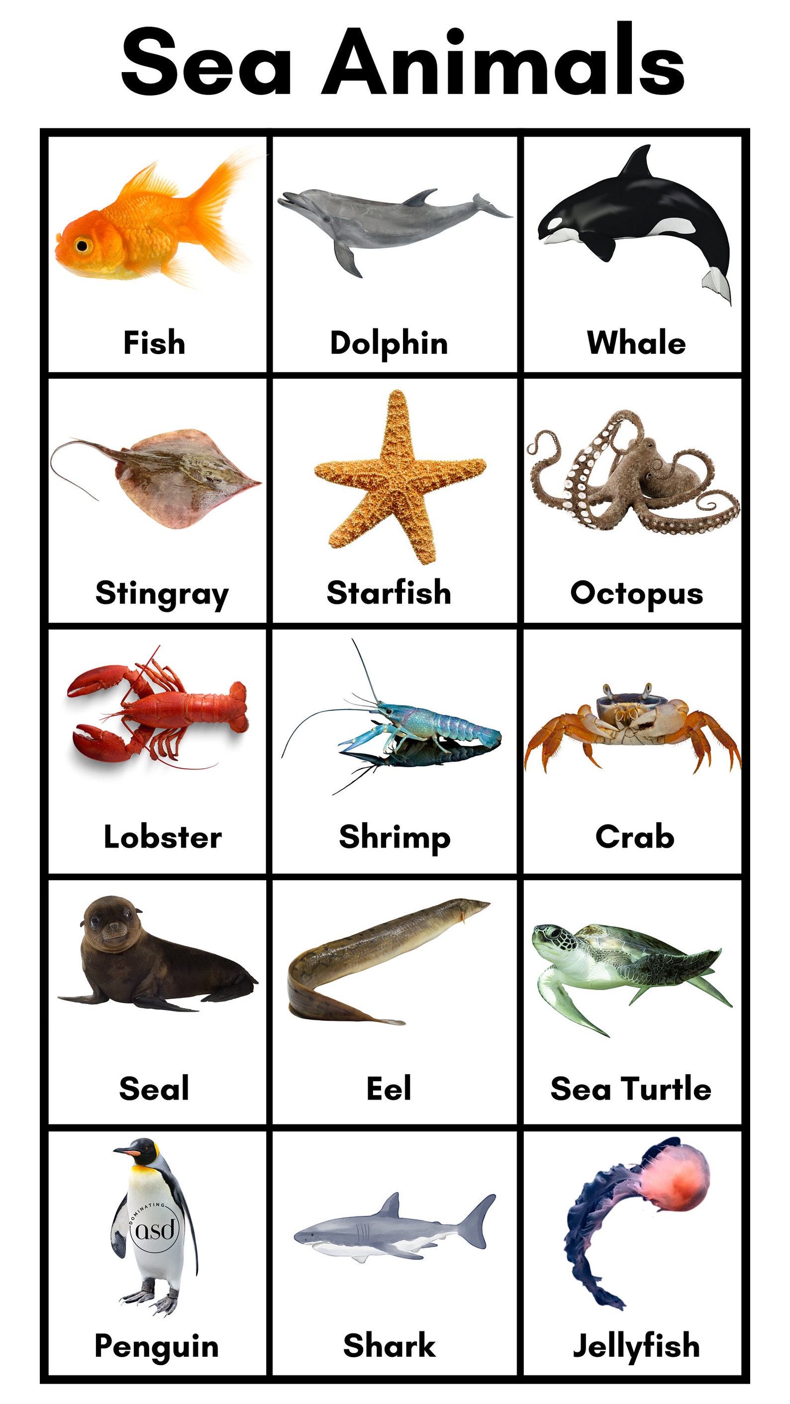 Sea Animals-english-daycare-montessori-homeschool-speech Therapy-aba ...