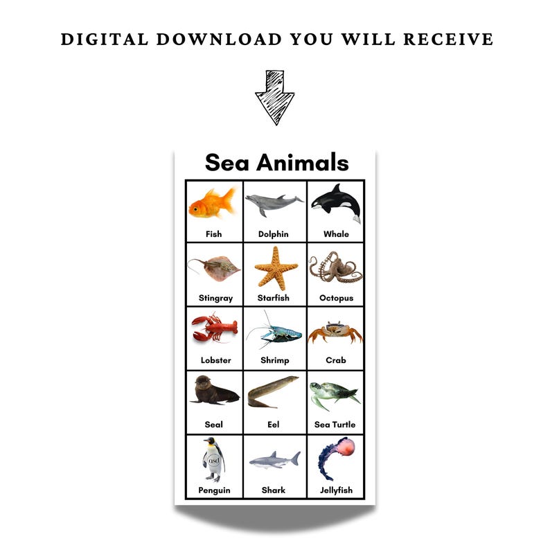 Sea Animals-english-daycare-montessori-homeschool-speech Therapy-aba ...