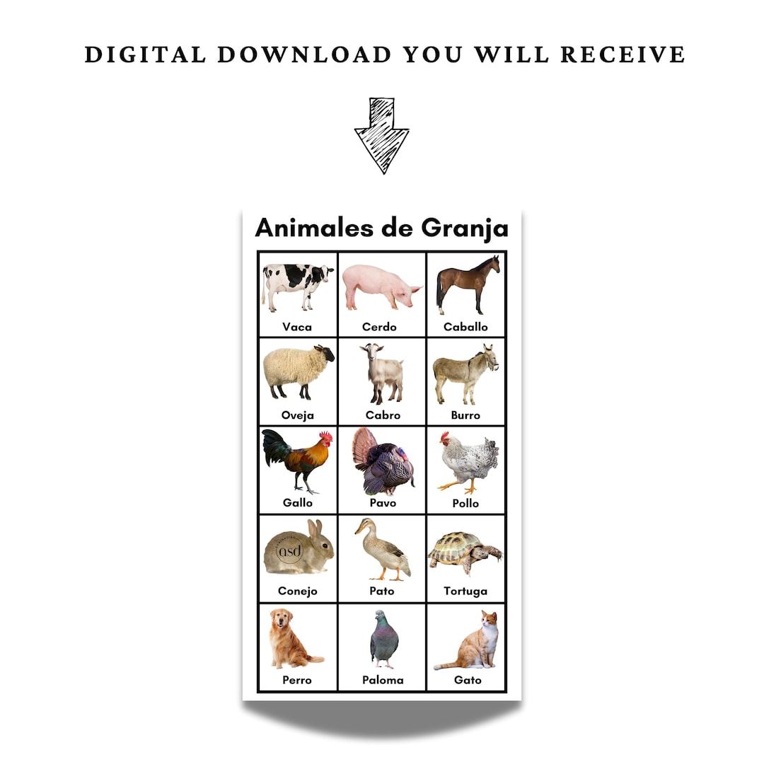 Farm Animals Poster-spanish-daycare-montessori-homeschool-speech ...