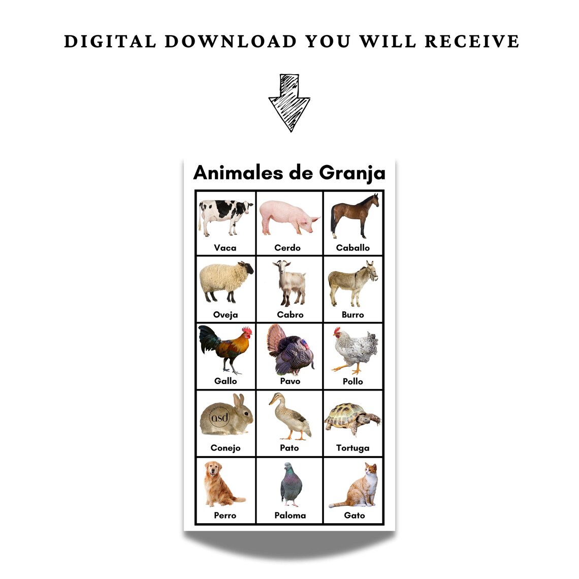 Farm Animals Poster-spanish-daycare-montessori-homeschool-speech ...