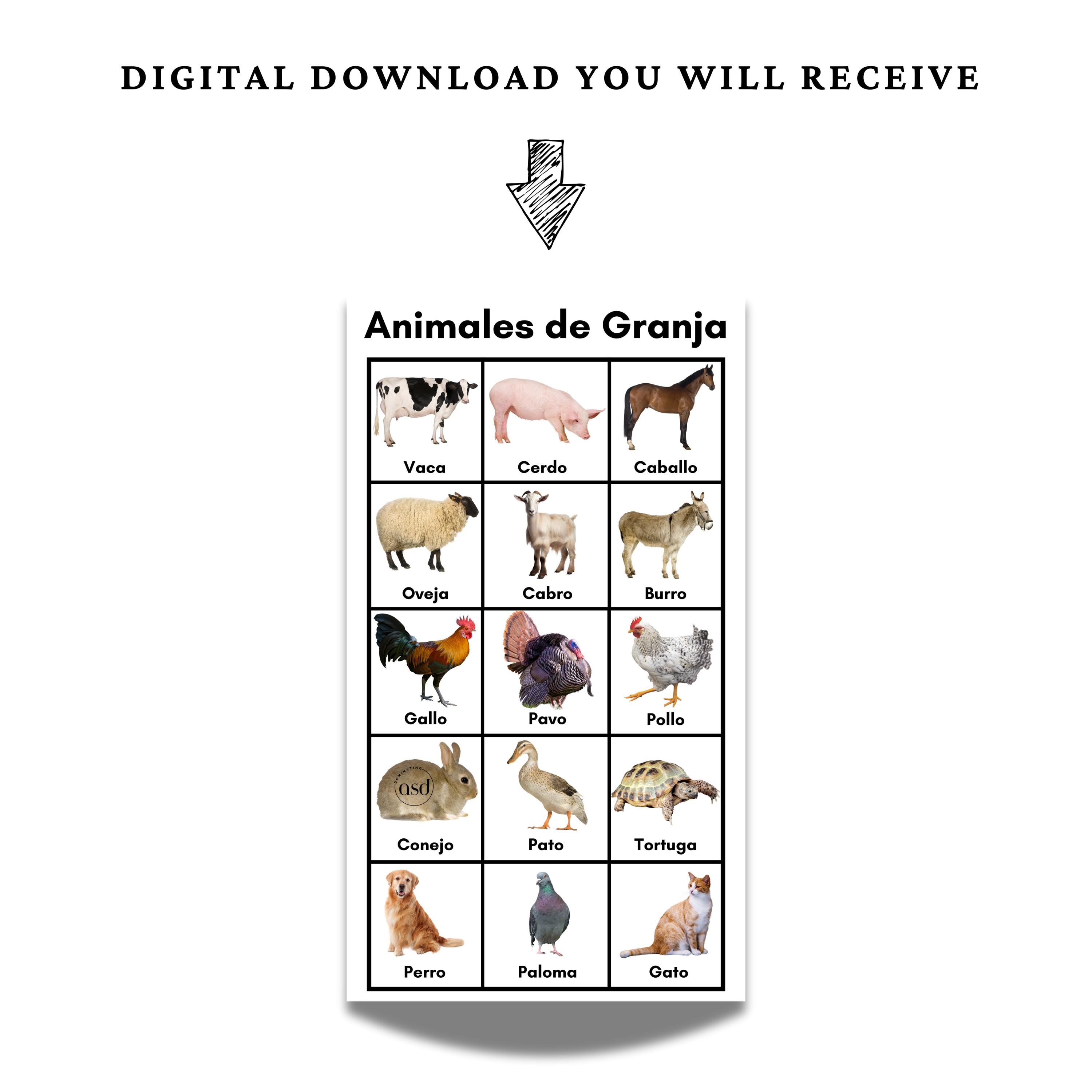 Farm Animals Poster-spanish-daycare-montessori-homeschool-speech ...