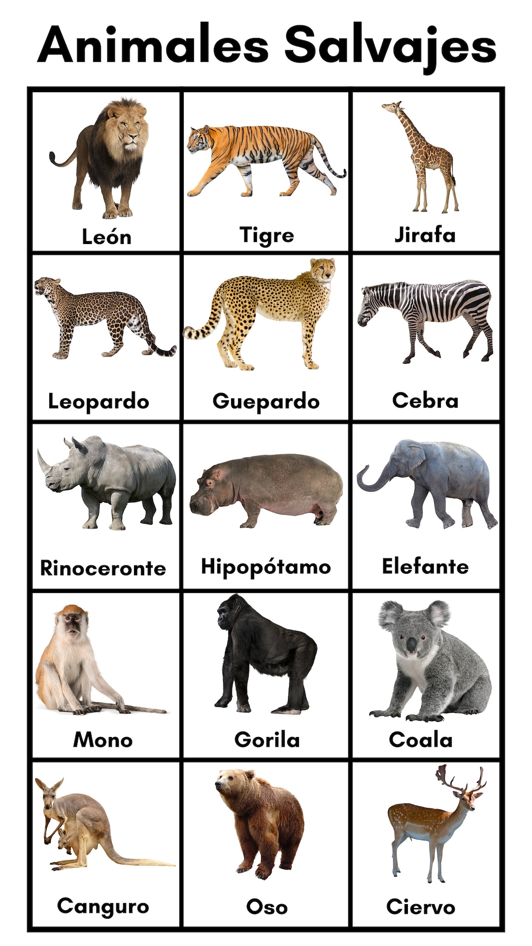Wild Animals-spanish-daycare-montessori-homeschool-speech Therapy-aba ...
