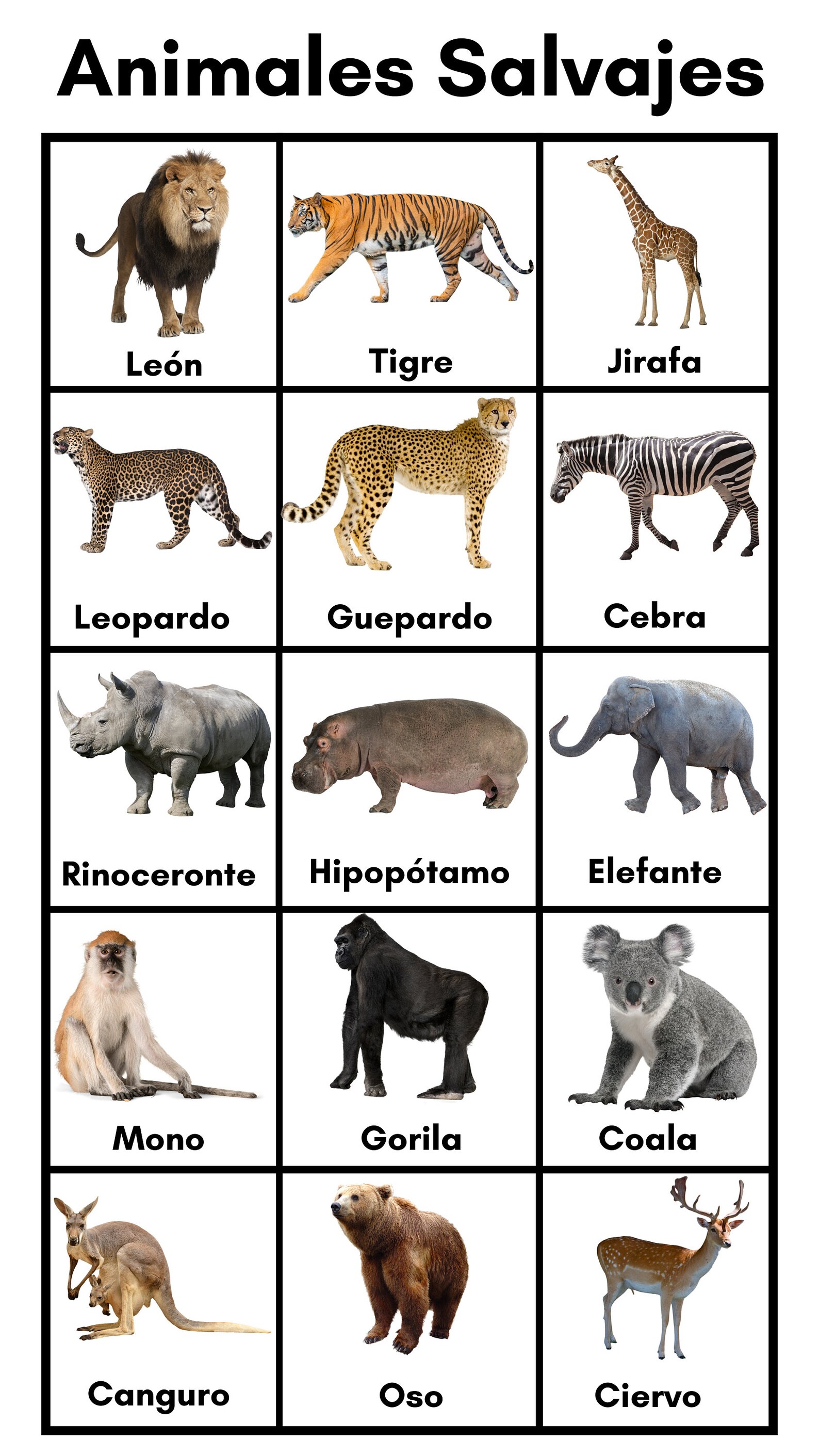 Wild Animals-spanish-daycare-montessori-homeschool-speech Therapy-aba ...