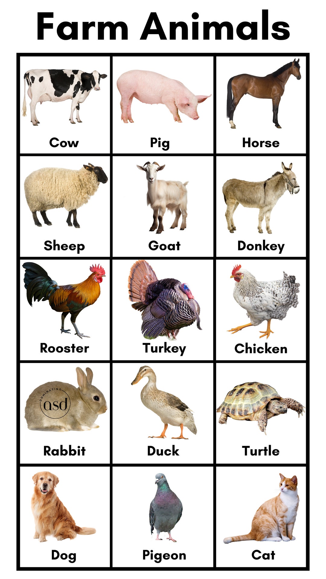 Farm Animals Poster-english-daycare-montessori-homeschool-speech ...