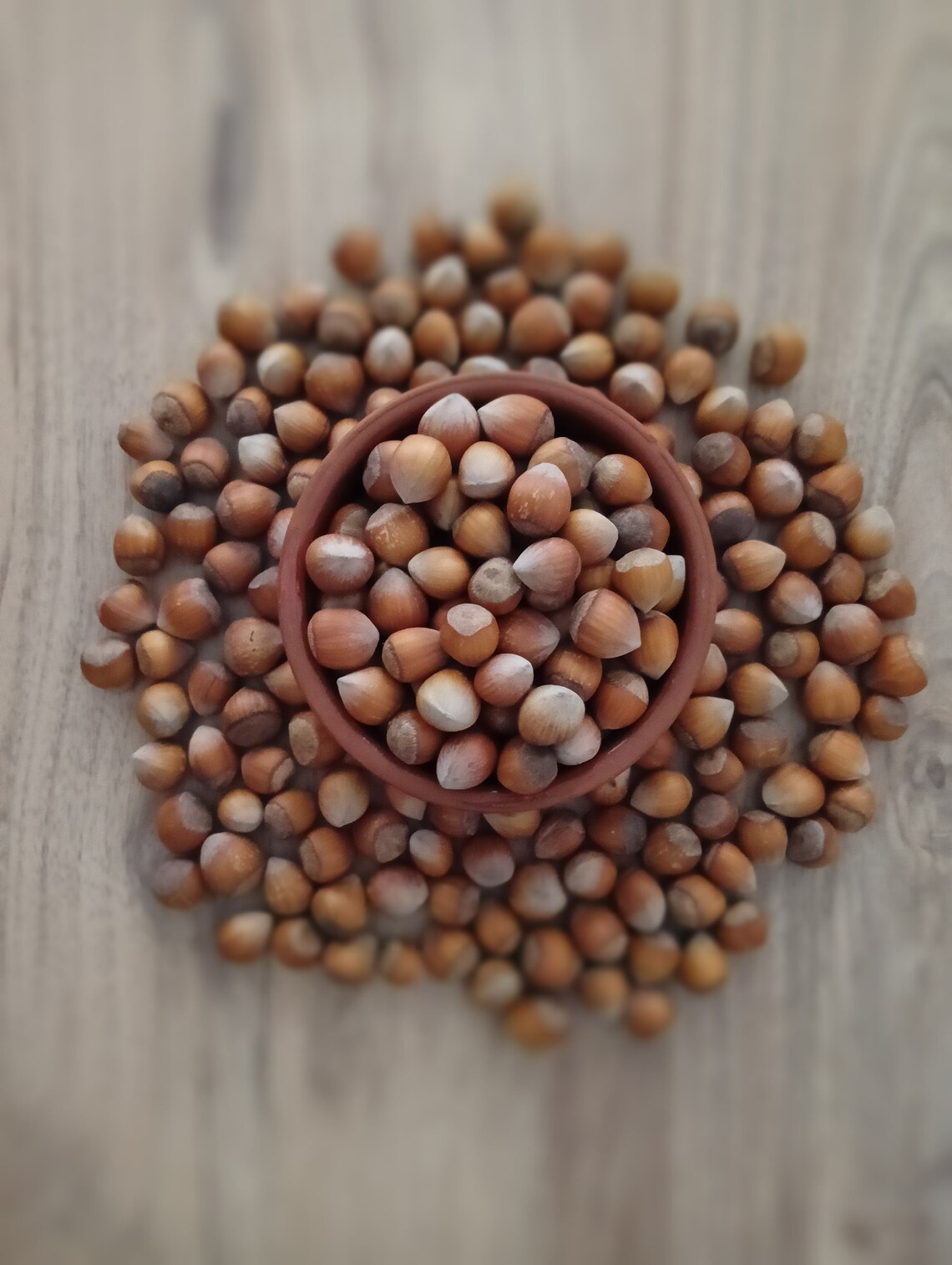 Famous Ordu's Hazelnut, Deliceus Turkey Nuts - Etsy