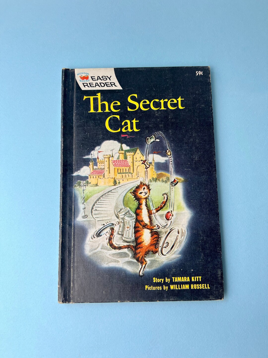 Vintage Wonder Book - the Secret Cat - Etsy