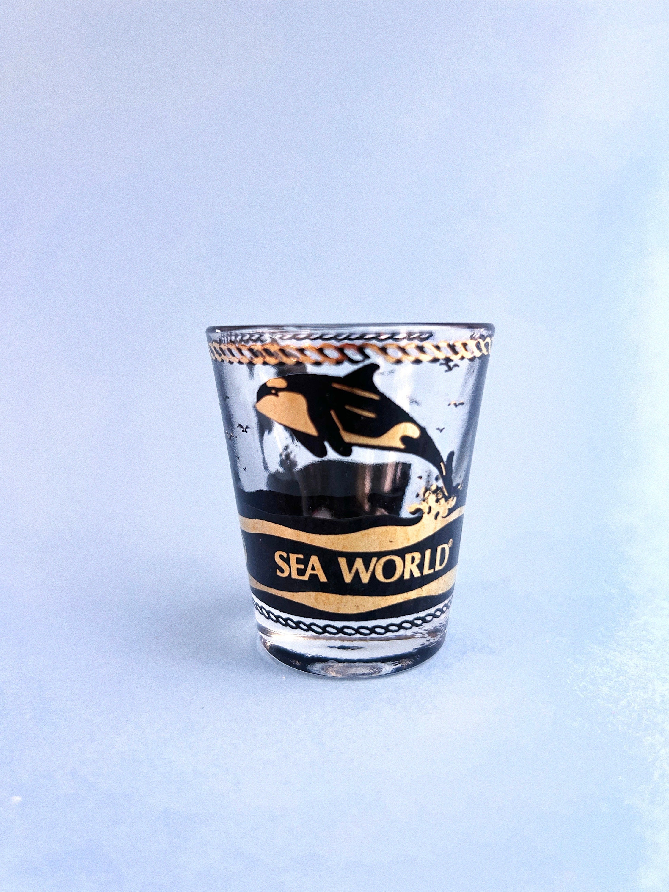 Vintage Sea World Souvenir Shot Glass - Etsy