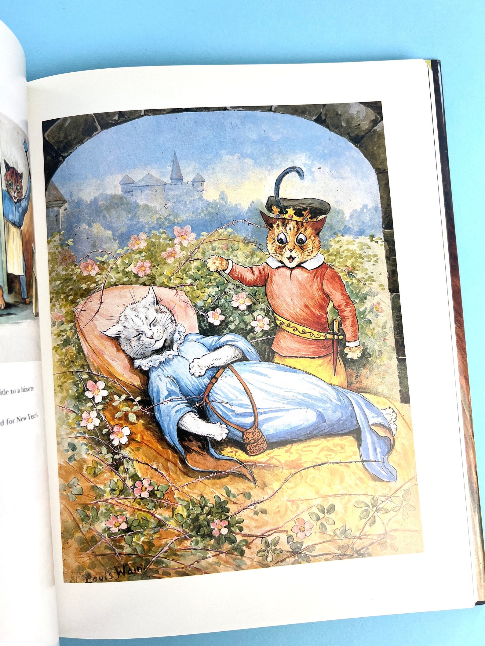 Vintage 90's Louis Wain - the Man Who Drew Cats Book - Etsy