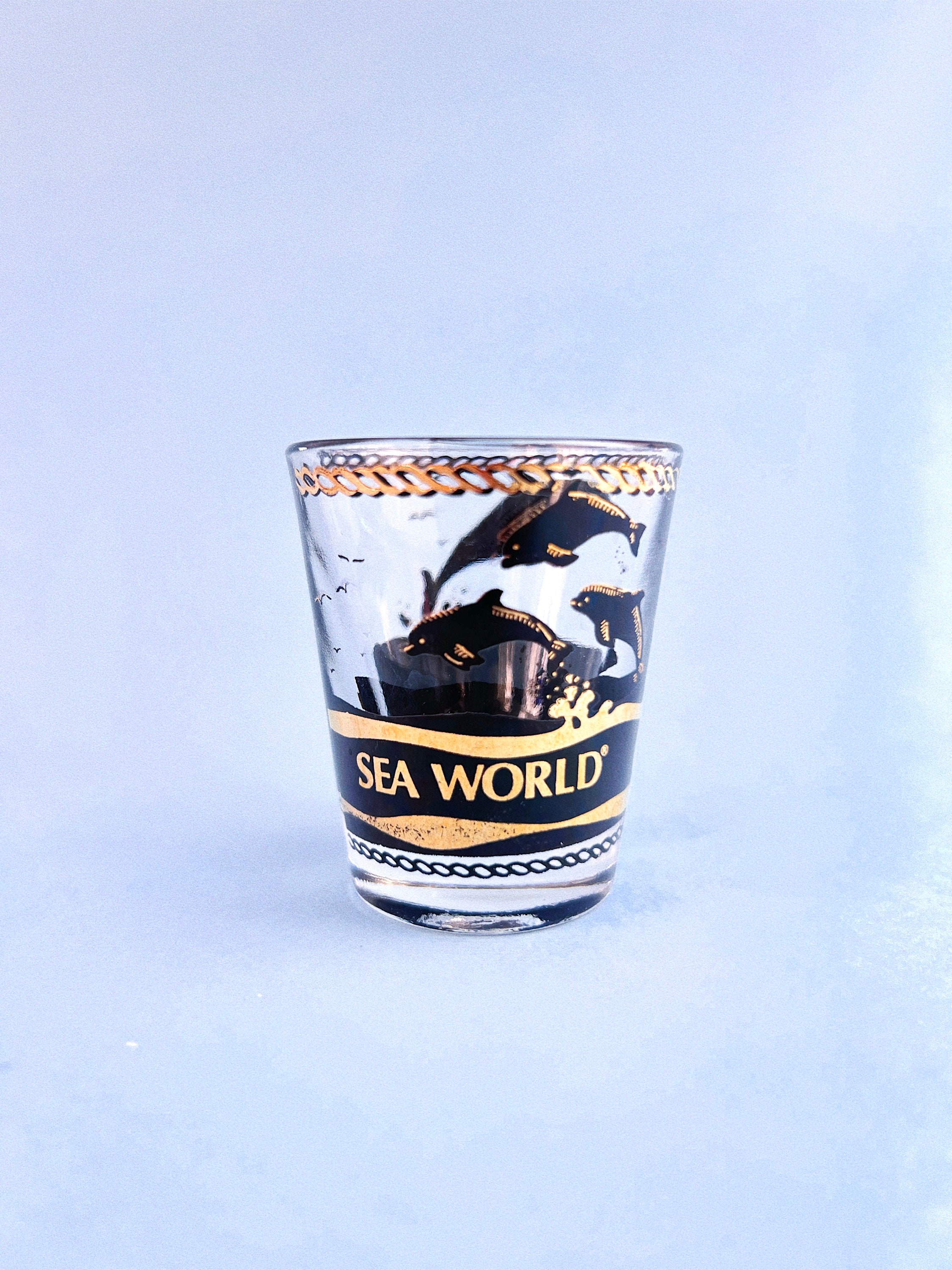Vintage Sea World Souvenir Shot Glass - Etsy