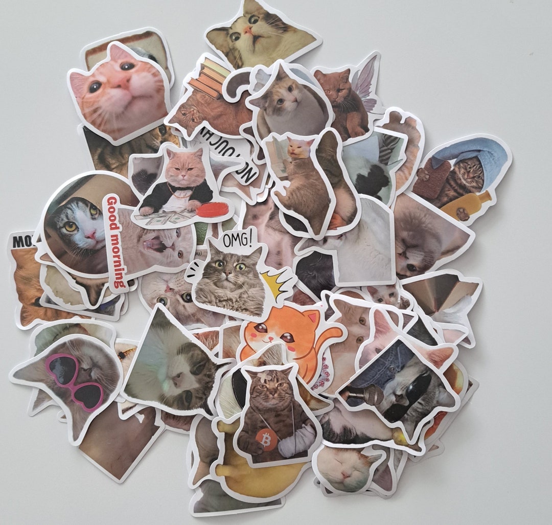25 Meme Cat Stickers: Waterproof Decals for Cars, Motorcycles, Laptops ...