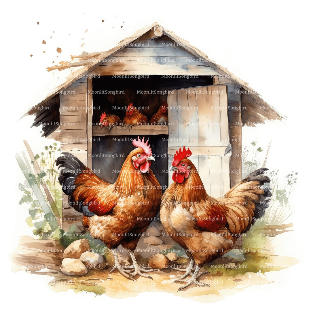 12 Chicken Coop Clipart, Digital Download, Printable Watercolor Clipart ...