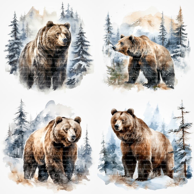 14 Brown Bear in Winter Forest Clipart, Digital Download, Printable ...