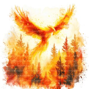 14 Phoenix in Forest Clipart, Digital Download, Printable Watercolor ...