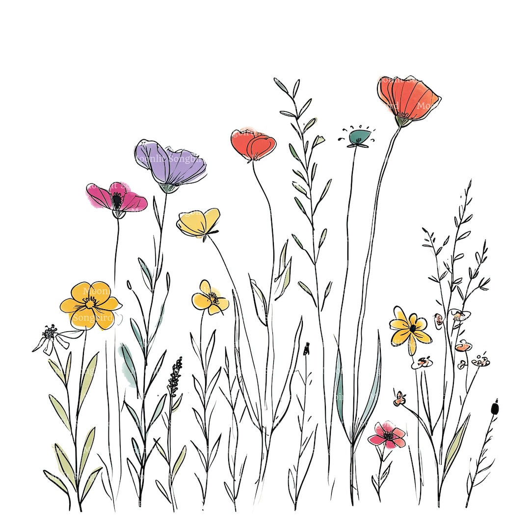24 Wildflower Drawings Clipart, Digital Download, Printable Watercolor ...