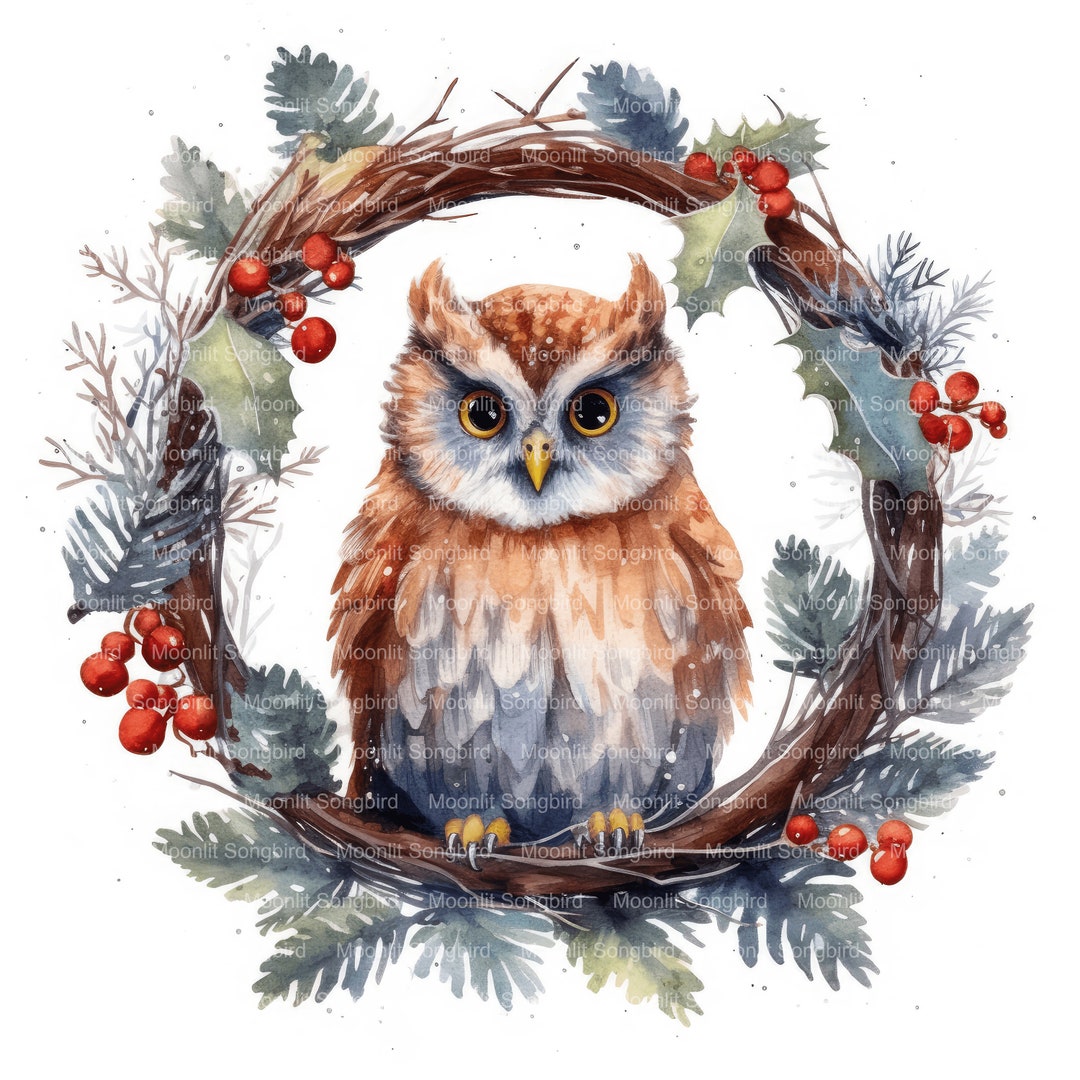 15 Christmas Owl Wreath Clipart, Digital Download, Printable Watercolor ...