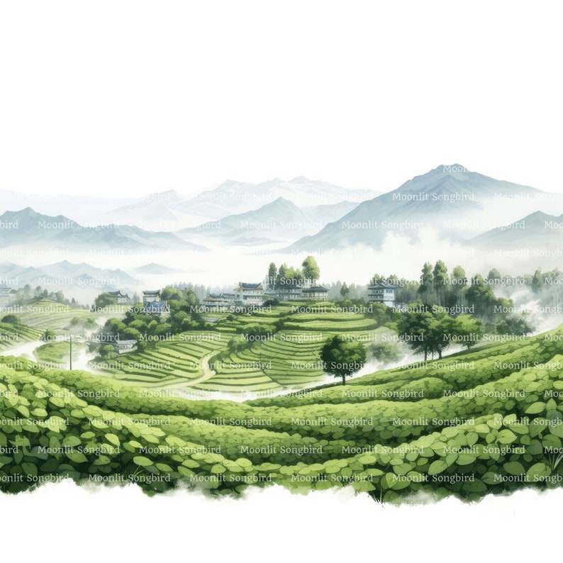 12 Tea Fields Clipart, Digital Download, Printable Watercolor Clipart ...