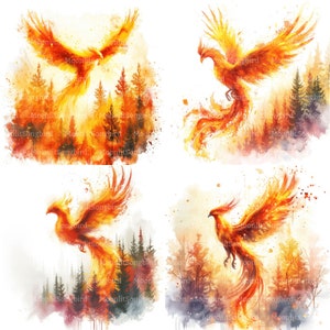 14 Phoenix in Forest Clipart, Digital Download, Printable Watercolor ...