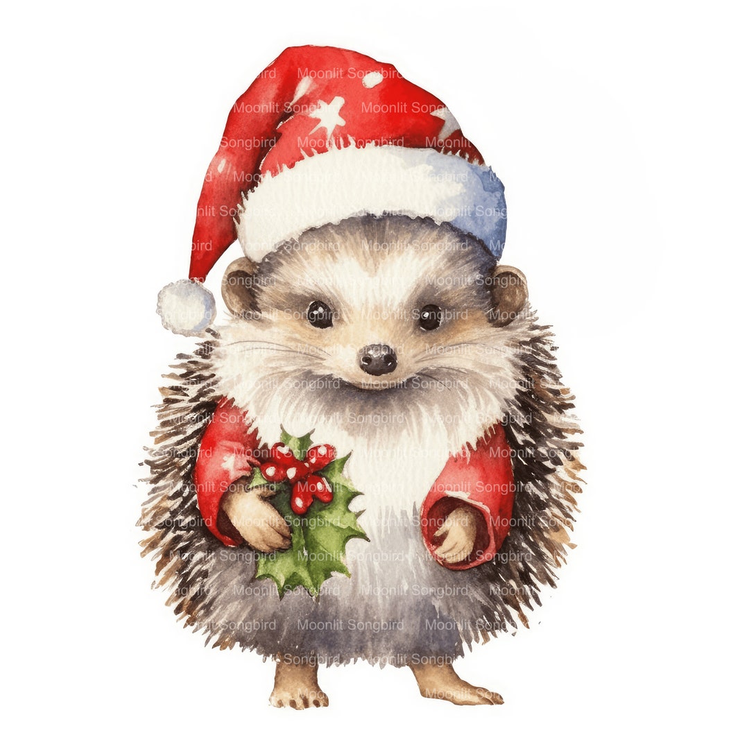 12 Christmas Hedgehog Clipart, Digital Download, Printable Watercolor ...