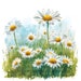 10 Field of Daisies Clipart, Digital Download, Printable Watercolor ...