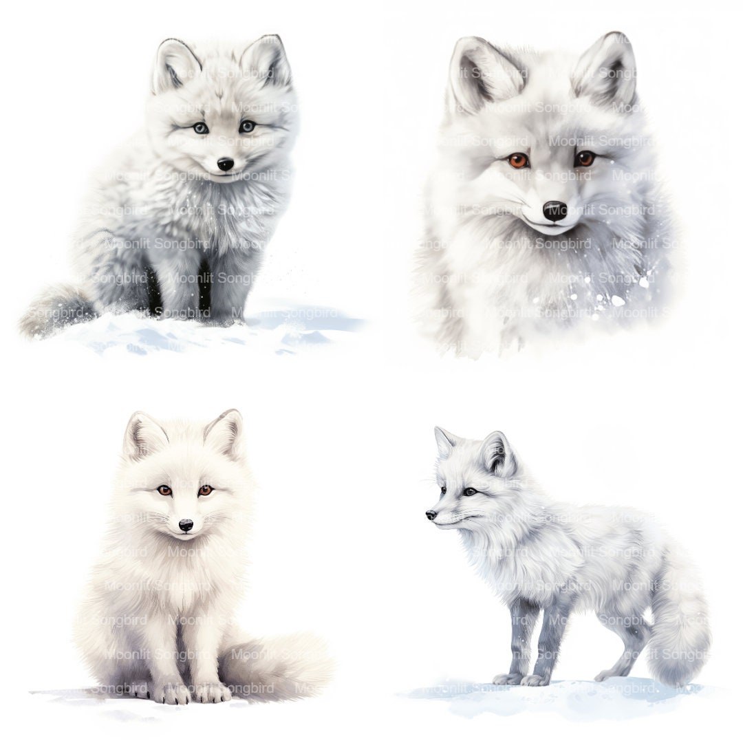 12 Polar Fox in Snow Clipart, Digital Download, Printable Watercolor ...