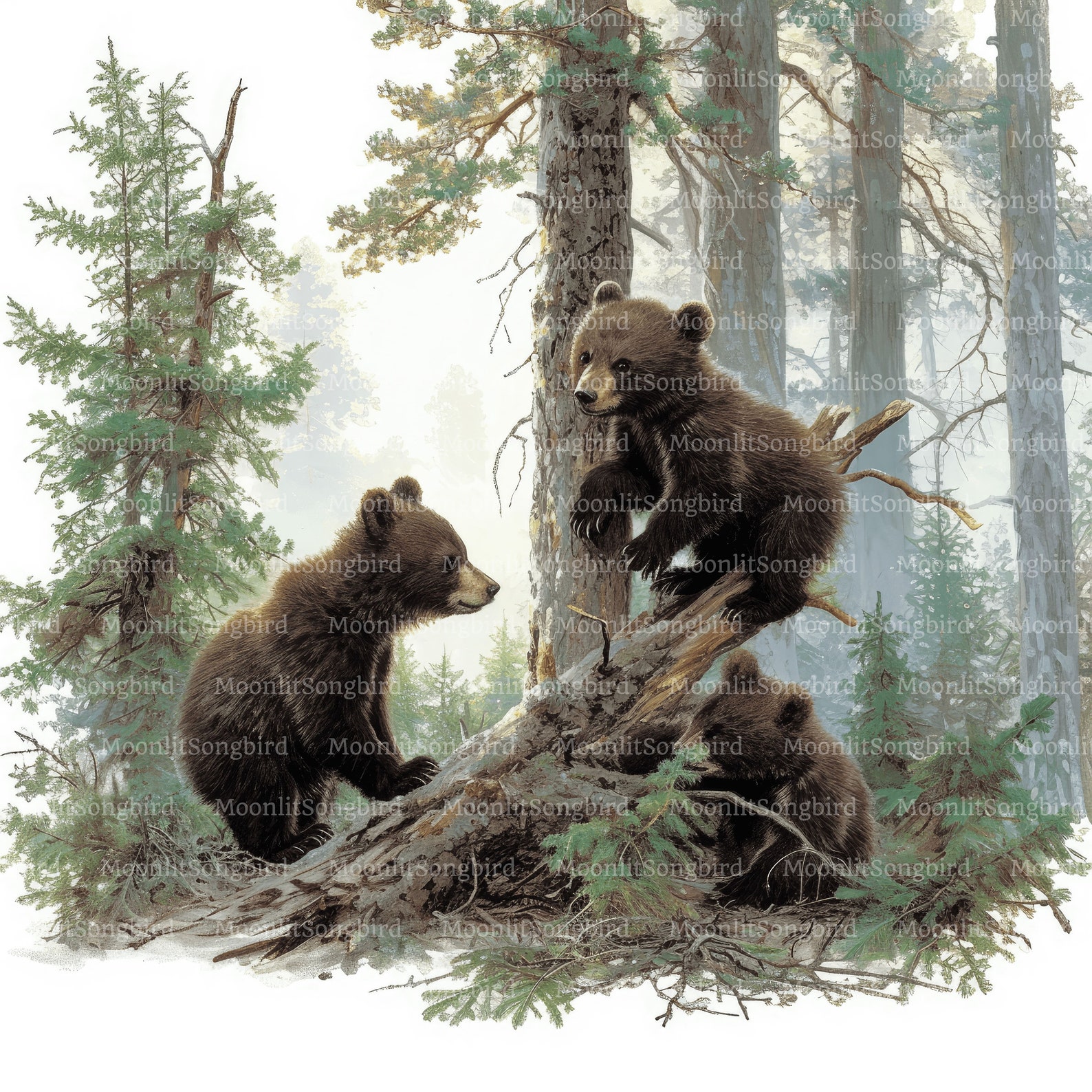 10 Bear Cubs Playing in Forest Clipart, Digital Download, Printable ...
