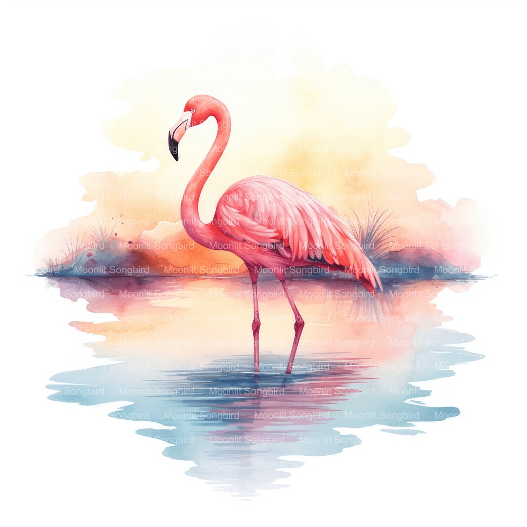 10 Flamingo in Lagoon at Sunset Clipart, Digital Download, Printable ...