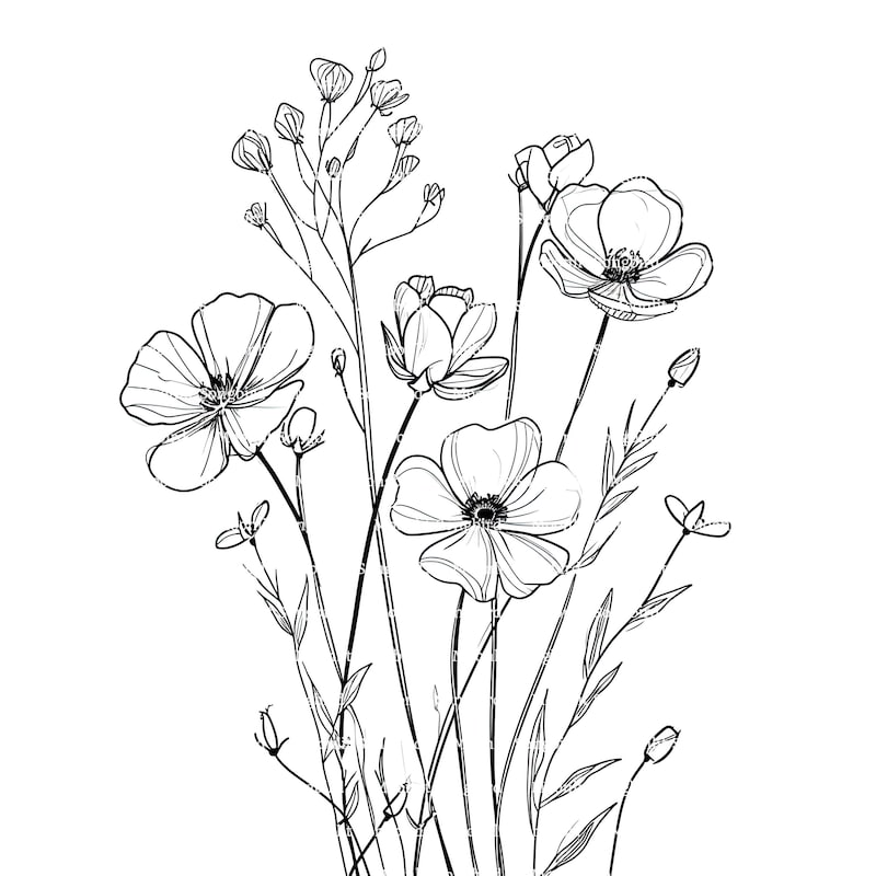 Wildflower Border Black and White Png - Etsy