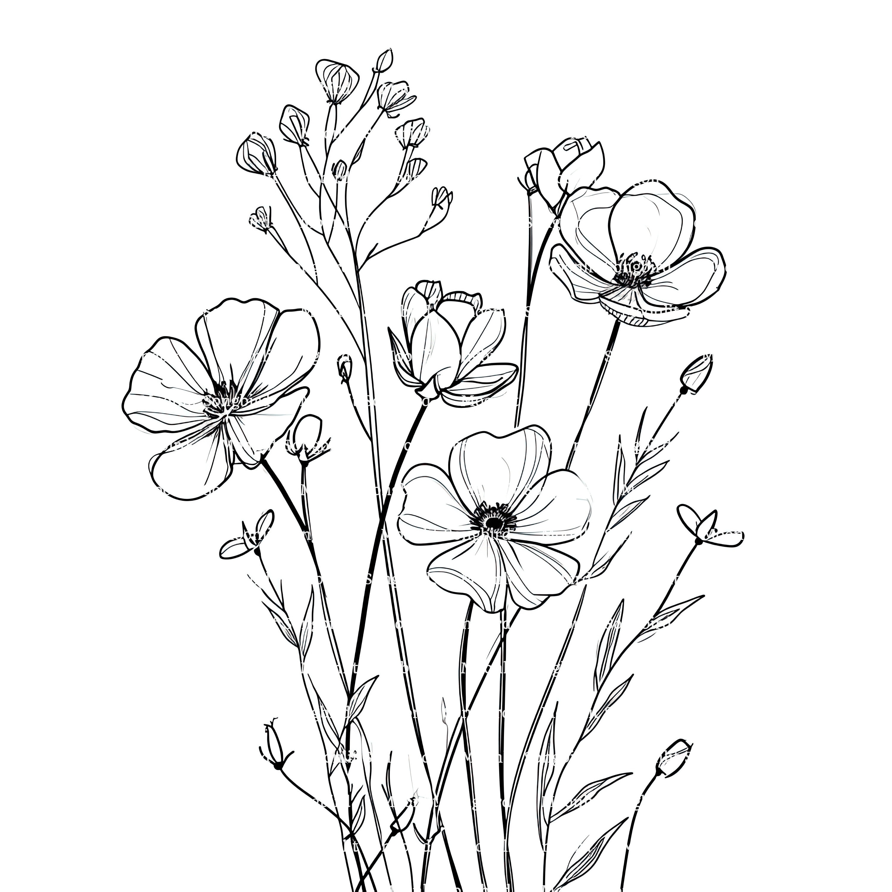 16 Wildflower Drawings Black and White Clipart, Digital Download ...
