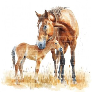10 Mother Horse and Foal Clipart, Digital Download, Printable ...