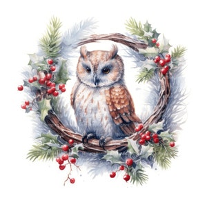 15 Christmas Owl Wreath Clipart, Digital Download, Printable Watercolor ...