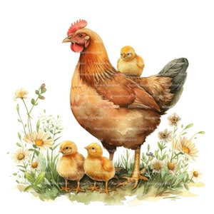 11 Hen and Chicks Clipart, Digital Download, Printable Watercolor ...