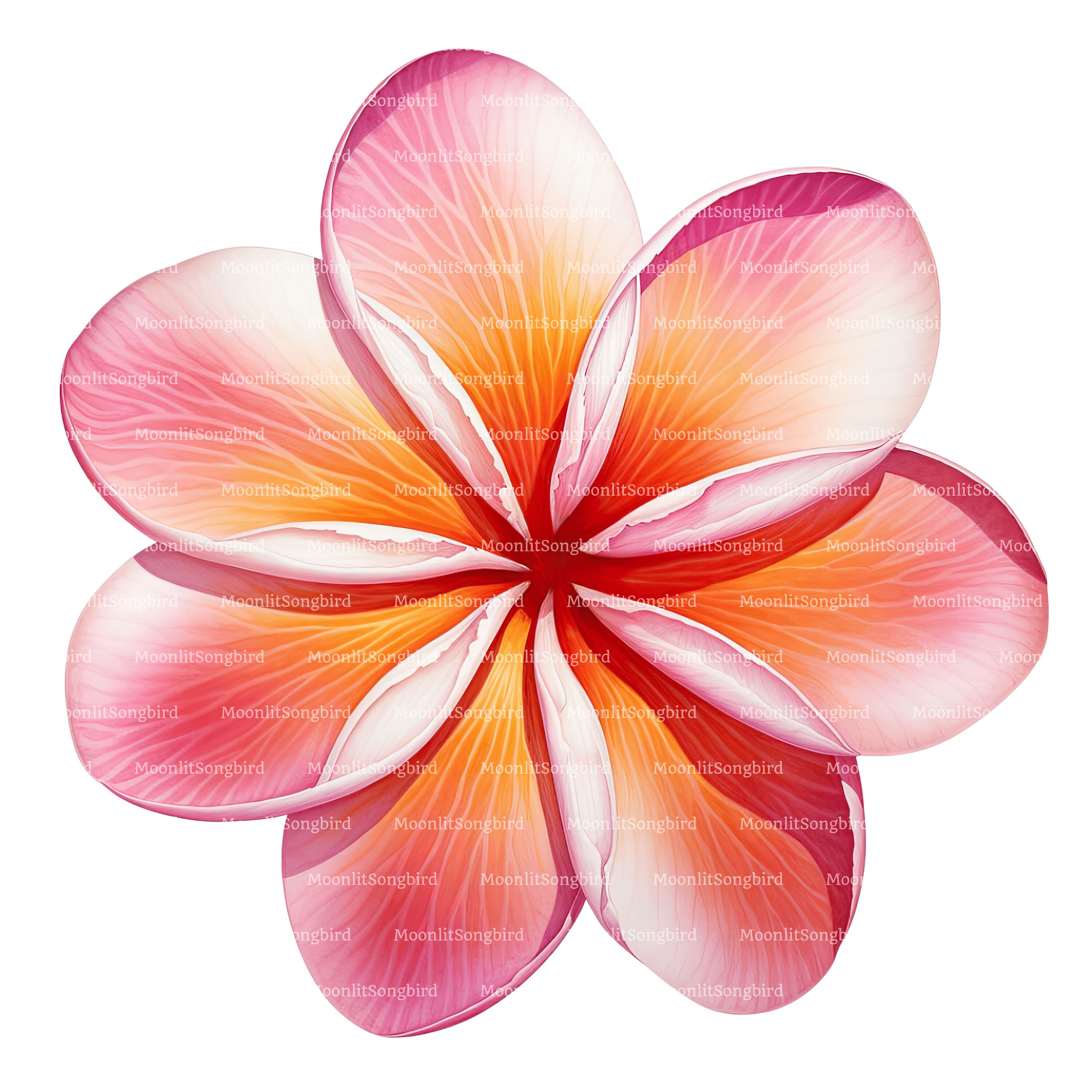 12 Frangipani Flowers Clipart, Digital Download, Printable Watercolor ...