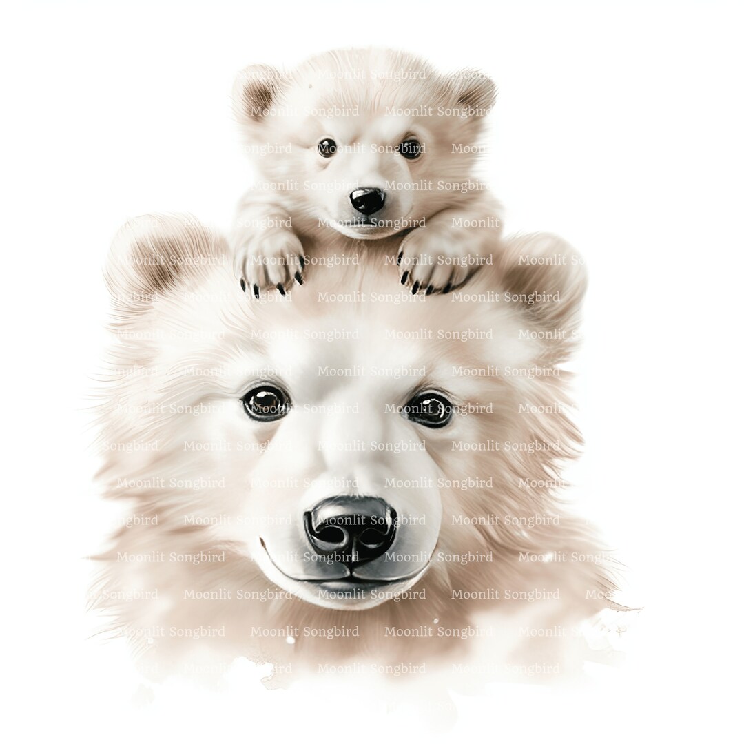 12 Polar Bear Mother and Baby Clipart, Digital Download, Printable ...