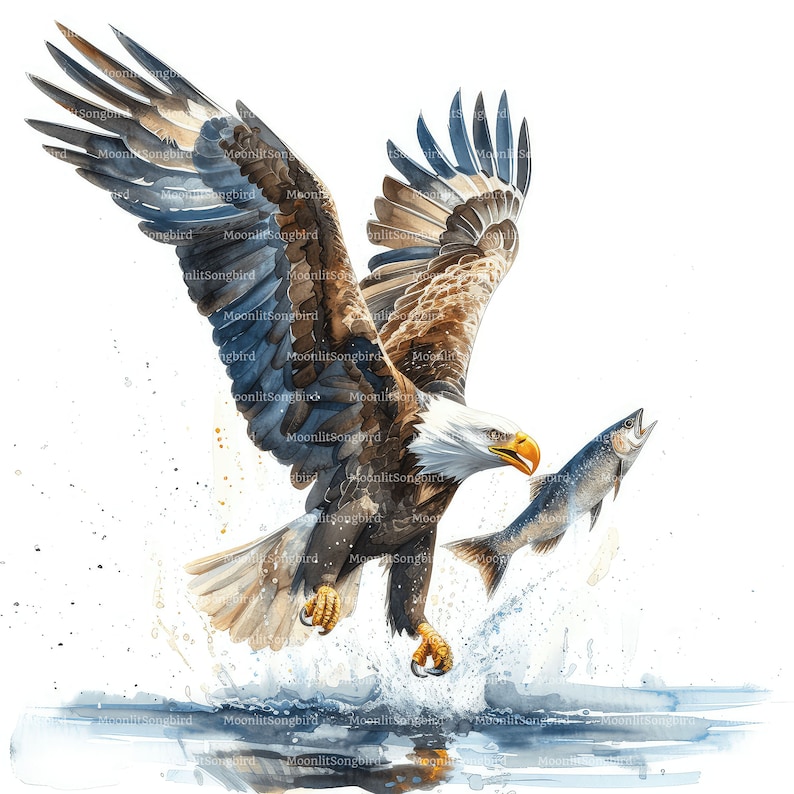 11 Eagle Catching a Fish Clipart, Digital Download, Printable ...