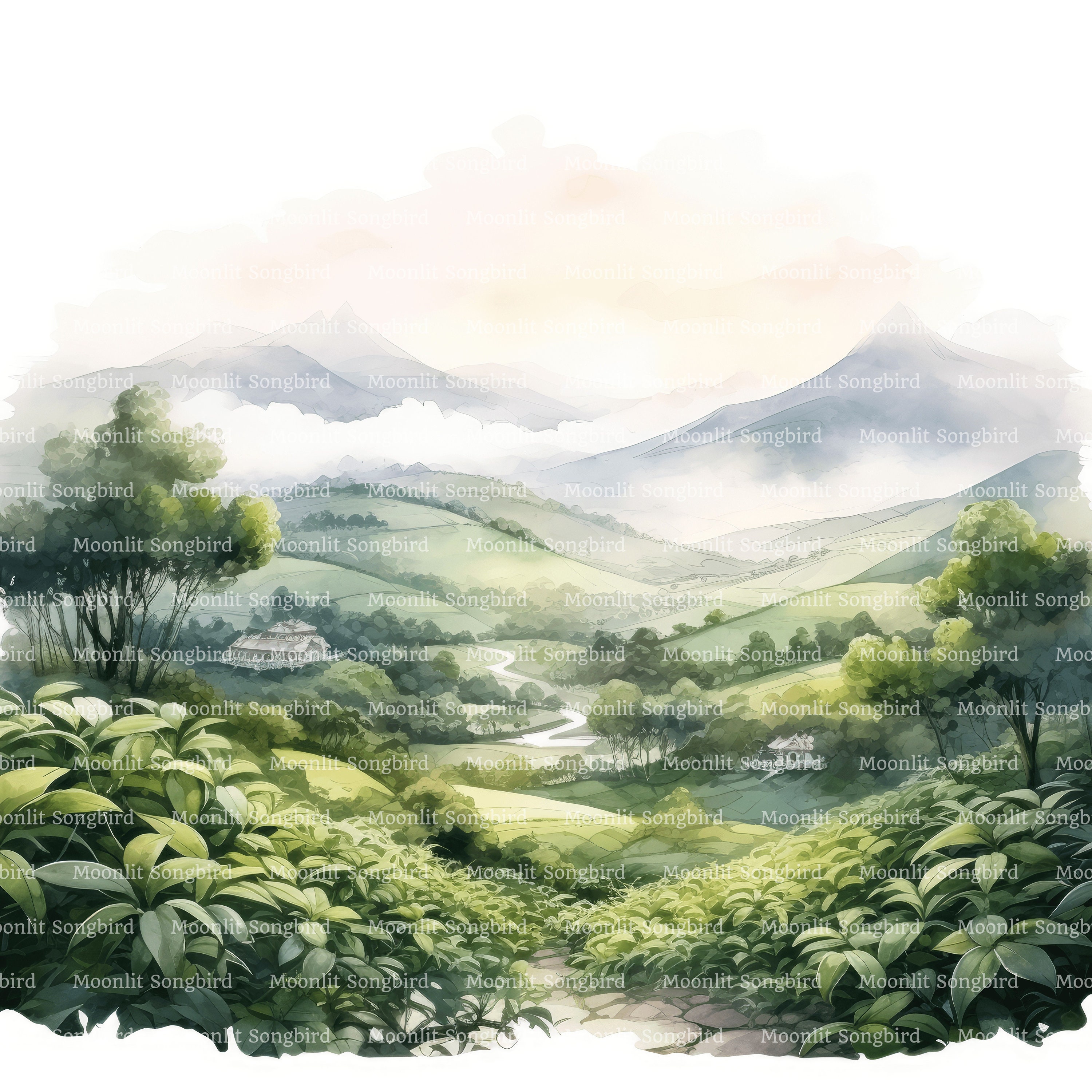 12 Tea Fields Clipart, Digital Download, Printable Watercolor Clipart ...