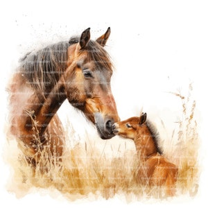 10 Mother and Baby Horse in Field Clipart, Digital Download, Printable ...