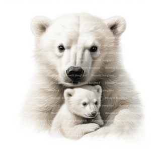 12 Polar Bear Mother and Baby Clipart, Digital Download, Printable ...