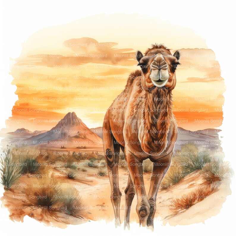 10 Kamel in der Wüste bei Sonnenuntergang Clipart, digitaler Download ...