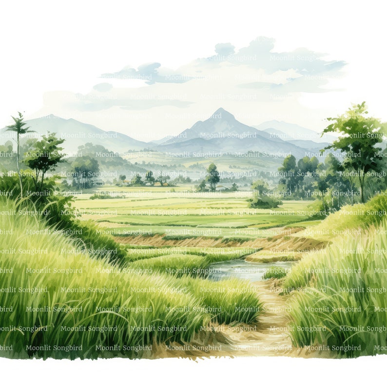 12 Rice Fields Clipart, Digital Download, Printable Watercolor Clipart ...
